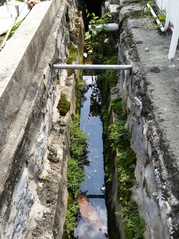 Our story – Urban Biodiversity Initiative (UBI)