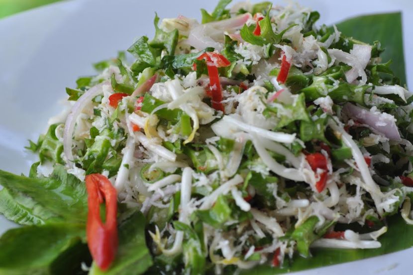 Selom – Urban Biodiversity Initiative (UBI)