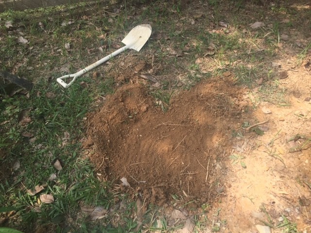 How to create a log pile – Urban Biodiversity Initiative (UBI)