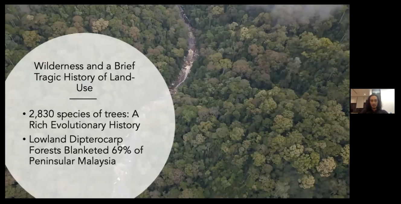 Native Trees by Adam Kamal – Urban Biodiversity Initiative (UBI)