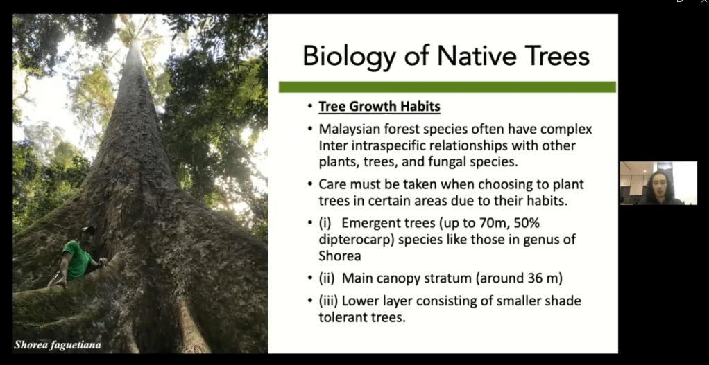 Native Trees by Adam Kamal – Urban Biodiversity Initiative (UBI)