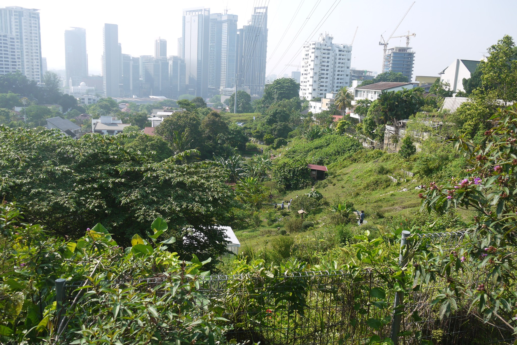 Case Study Series: Kebun-Kebun Bangsar – Urban Biodiversity Initiative ...